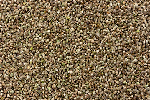 Tekstur Biji Rami Latar Belakang Biji Ganja Foto Stok - Unduh Gambar ... Tekstur Biji Rami Latar Belakang Biji Ganja Foto Stok - Unduh Gambar ...