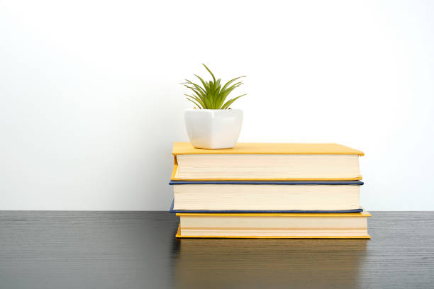 Free Stock Photo of Book and Flower Pot on Table | Download Free Images ...