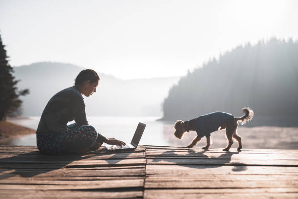 Laptop In Nature Pictures | Download Free Images on Unsplash