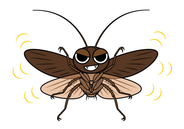 180 Cute Cockroach Clip Art Illustrations Royalty Free Vector Graphics And Clip Art Istock