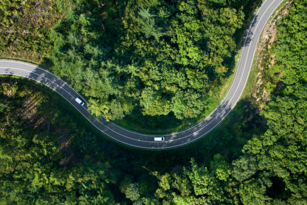 Forest Street Pictures | Download Free Images on Unsplash
