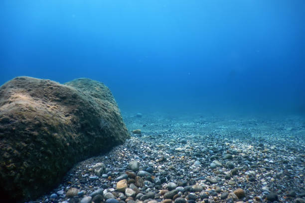 Underwater Rocks Pictures | Download Free Images on Unsplash
