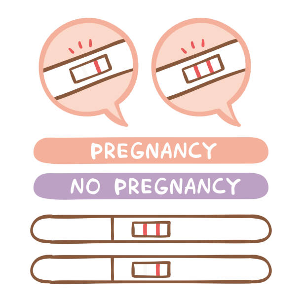 160 Positive And Negative Pregnancy Tests Illustrations Royalty Free