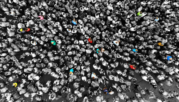 People Watching Pictures | Download Free Images on Unsplash