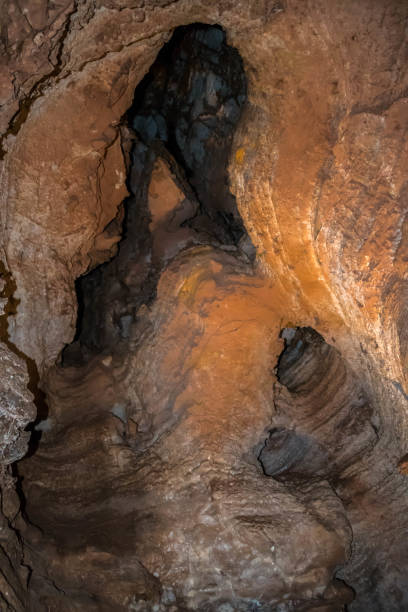 450 Parque Nacional De Wind Cave Fotos Fotos De Stock Imagens E Fotos