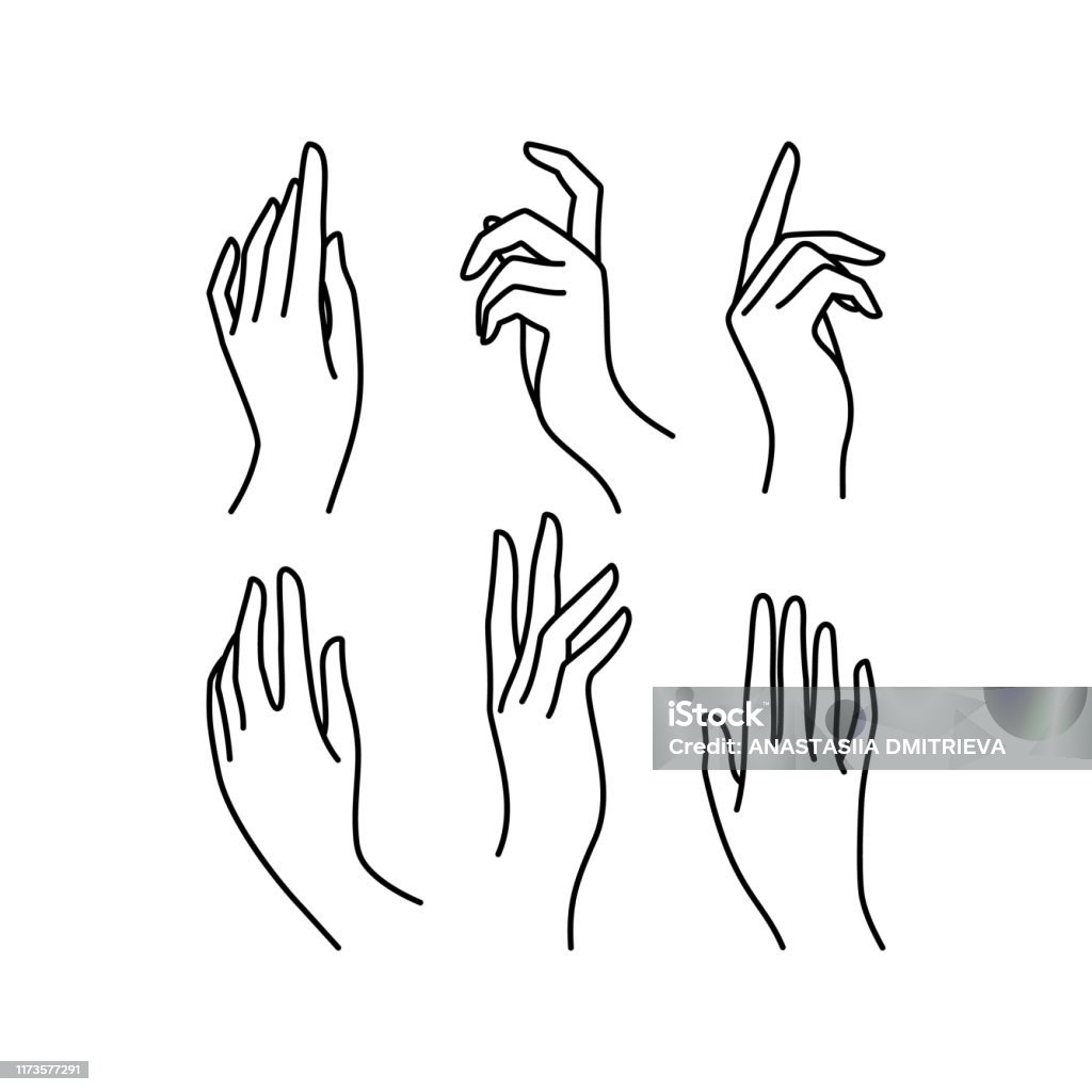 Womans Hand Icon Collection Line Vector Illustration Of Elegant Female