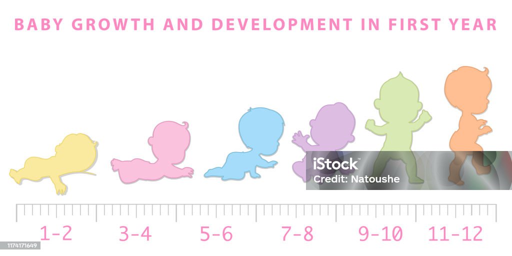 Vector Illustration Baby Growth Baby Development Stages Milestones ... Vector Illustration Baby Growth Baby Development Stages Milestones ...