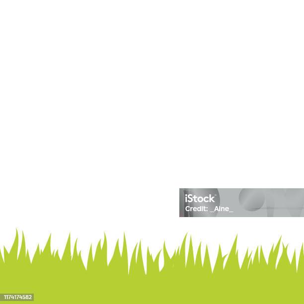 Carte Avec Lherbe Verte Disolement Sur Le Fond Blanc Avec Lespace Vide