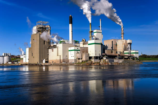 Paper Mill Pictures | Download Free Images on Unsplash