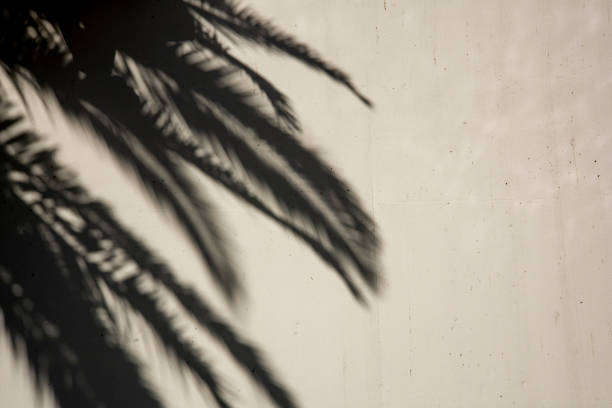 Free Stock Photo of Angular shadows form patterns on a textured wall ...