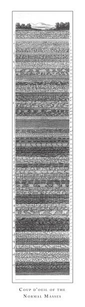 Free clip art "Fossil Layers" by Scout