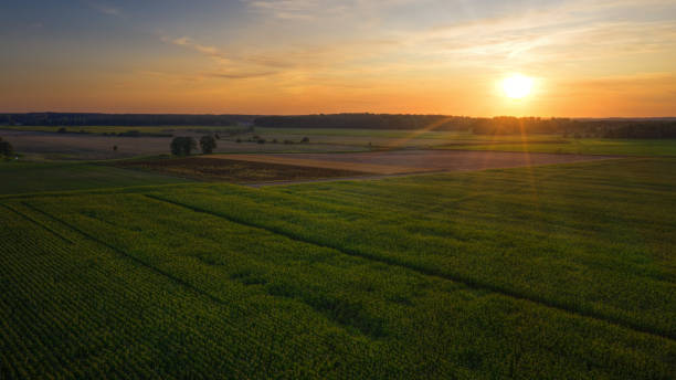 Free Stock Photo of The Sun Setting Over the Horizon of a Field ...