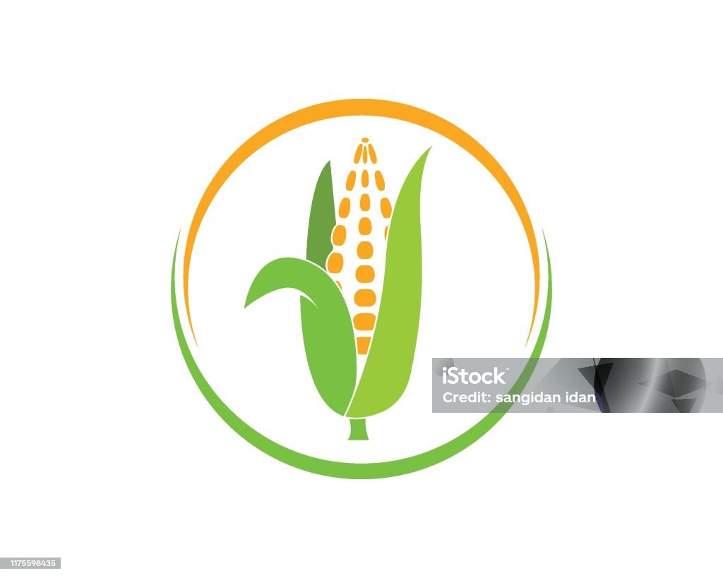 Desain Ilustrasi Ikon Vektor Jagung Ilustrasi Stok - Unduh Gambar ... Desain Ilustrasi Ikon Vektor Jagung Ilustrasi Stok - Unduh Gambar ...