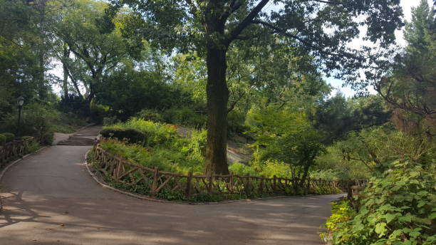 3,600+ Central Park Path Stock Photos, Pictures & Royalty-Free Images ... 3,600+ Central Park Path Stock Photos, Pictures & Royalty-Free Images ...