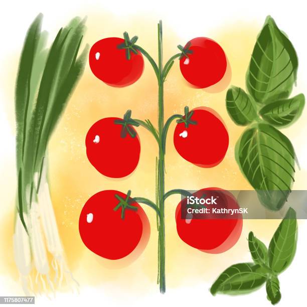 Dessin De Légumes Et Dherbes Vecteurs Libres De Droits Et Plus Dimages