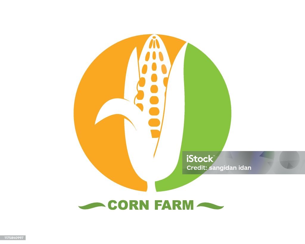 Desain Ilustrasi Ikon Vektor Jagung Ilustrasi Stok - Unduh Gambar ... Desain Ilustrasi Ikon Vektor Jagung Ilustrasi Stok - Unduh Gambar ...