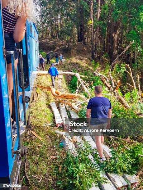 Kecelakaan Khas Di Sri Lanka Selama Perjalanan Dengan Kereta Api Batang Pohon Terasa Di Rel