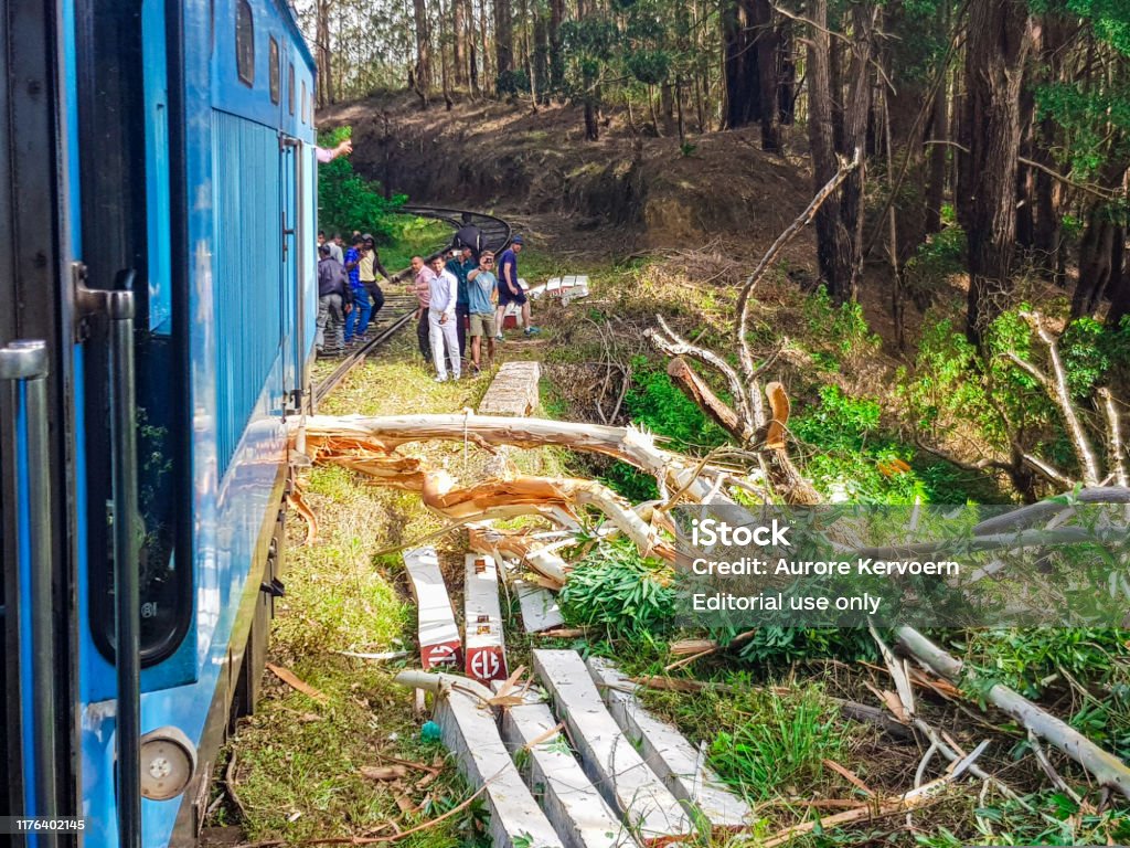 Kecelakaan Khas Di Sri Lanka Selama Perjalanan Dengan Kereta Api Batang Pohon Terasa Di Rel