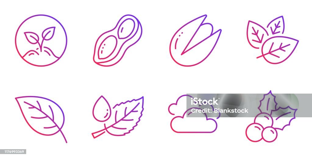Ilustración de Conjunto De Iconos De Rocío De Hoja Y Hoja Clima Nublado ... Ilustración de Conjunto De Iconos De Rocío De Hoja Y Hoja Clima Nublado ...