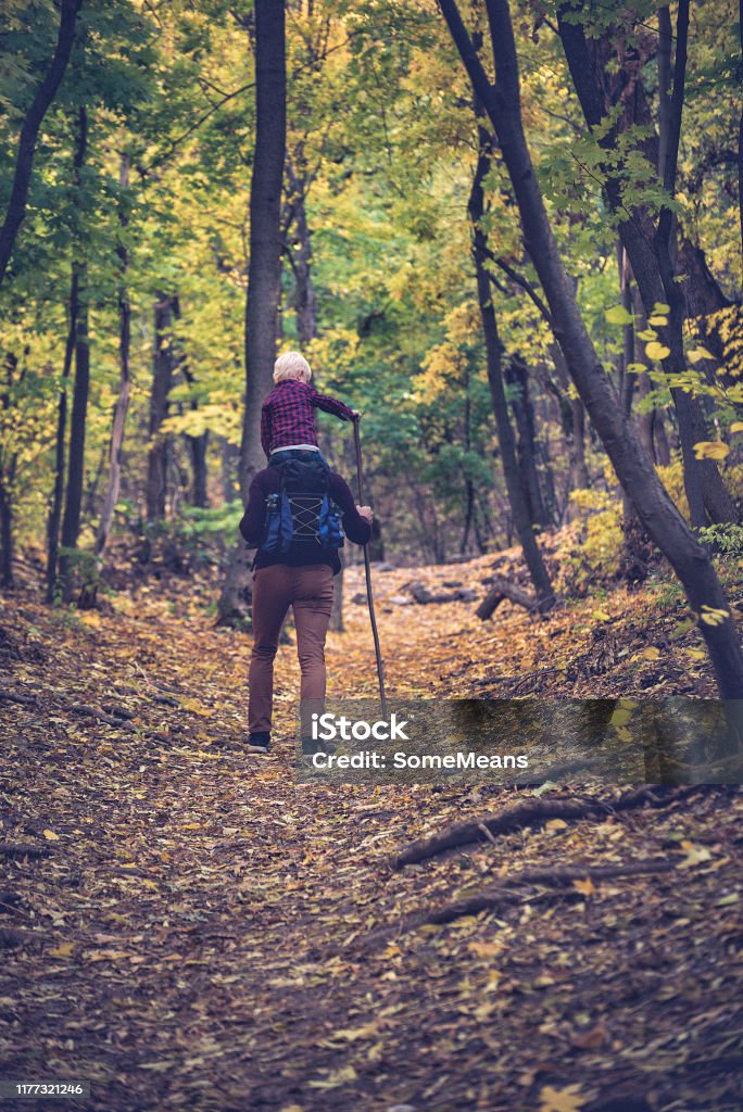 Father With Son On His Shoulders Walking In The Autumn Forest Back View