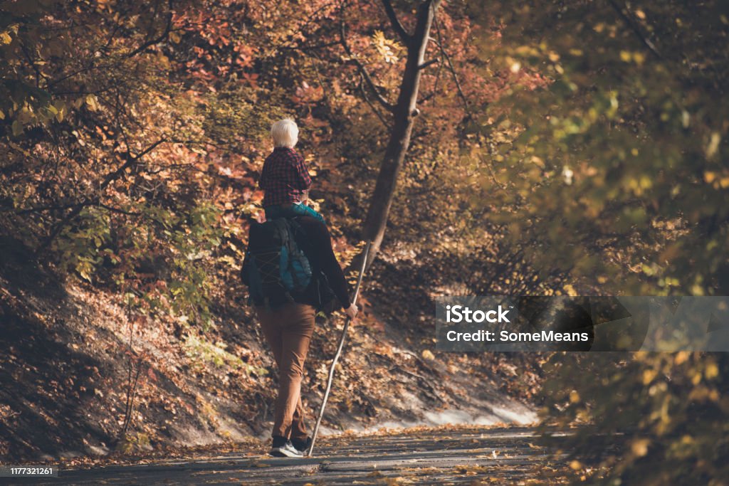 Father With Son On His Shoulders Trekking In The Autumn Forest Back