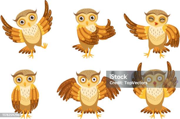 Ensemble Mignon De Caractères De Dessin Animé De Hibou Owlets Drôles