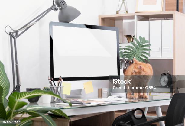 Konsep Mockup Di Tempat Kerja Komputer Desktop Dekorasi Kantor Dengan