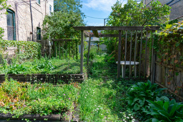Overgrown City Pictures | Download Free Images on Unsplash