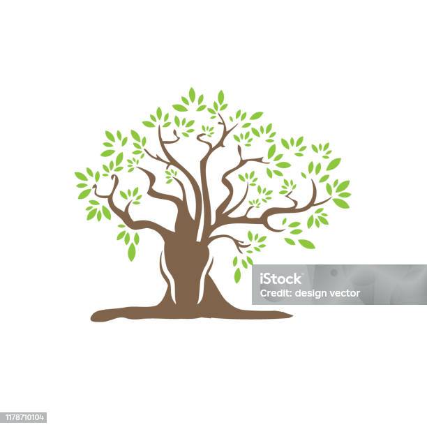 Modèle De Logo Darbre Conception Dicône De Nature Vecteur Concept