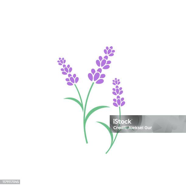ラベンダーの花ベクトルイラスト白い背景に紫色の花 植物 ラベンダーのベクターアート素材や画像を多数ご用意 植物 ラベンダー アイコン
