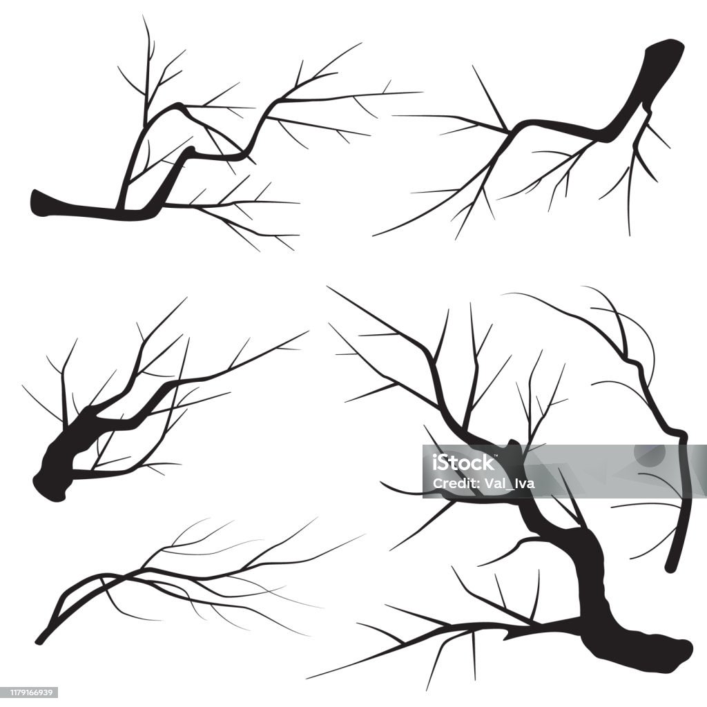Ensemble De Silhouette De Branches Darbre Vecteurs Libres De Droits Et