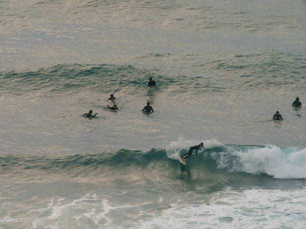 Free Stock Photo of Group of People Riding Waves on Top of a Surfboard ...