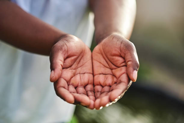 Cupped Hands Pictures | Download Free Images on Unsplash