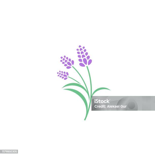 ラベンダーの花白い背景に紫色の花 植物 ラベンダーのベクターアート素材や画像を多数ご用意 植物 ラベンダー アイコン ベクター画像