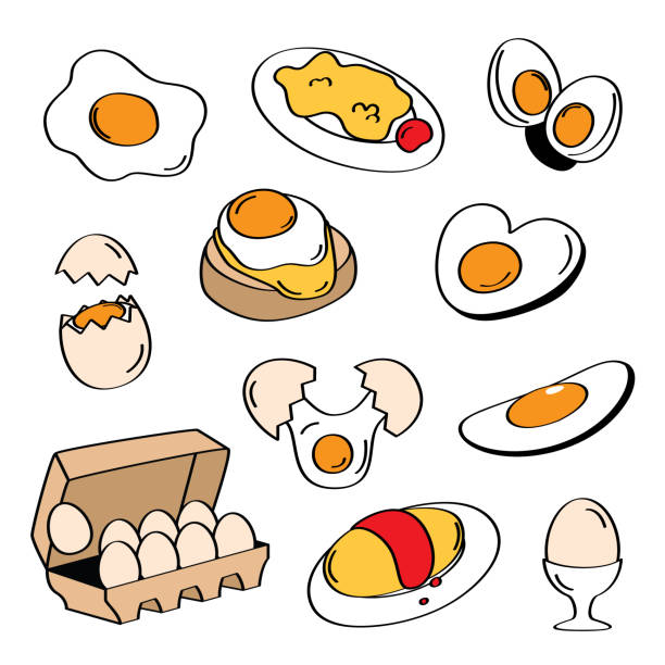 40 Une Douzaine Doeufs Illustrations Stock Illustrations Graphiques
