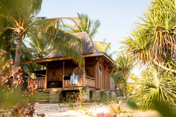 Beach Shack Pictures | Download Free Images on Unsplash