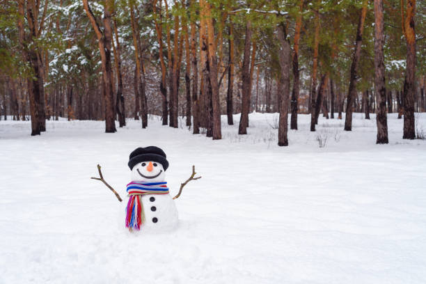 A snowman in a pine forest | Free Stock Image - Barnimages