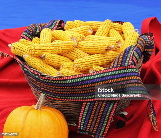 Keranjang Penuh Jagung Kuning Matang Dan Labu Kuning Foto Stok - Unduh ... Keranjang Penuh Jagung Kuning Matang Dan Labu Kuning Foto Stok - Unduh ...