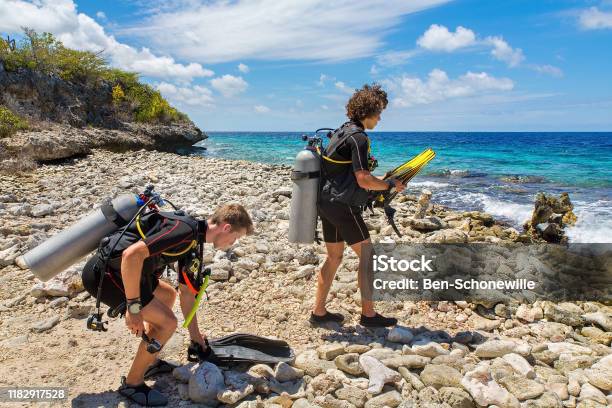 Penyelam Di Pantai Siap Menyelam Di Laut Foto Stok - Unduh Gambar ... Penyelam Di Pantai Siap Menyelam Di Laut Foto Stok - Unduh Gambar ...