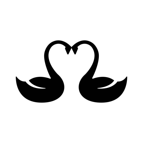 Two Swans Love Illustrations Royalty Free Vector Graphics And Clip Art