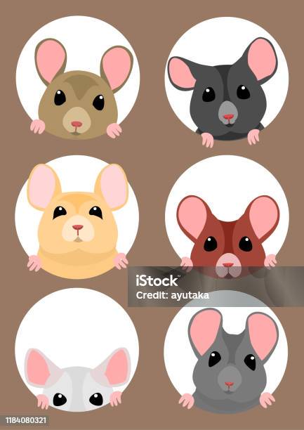 Set Wajah Tikus Lucu Ilustrasi Stok Unduh Gambar Sekarang Tikus