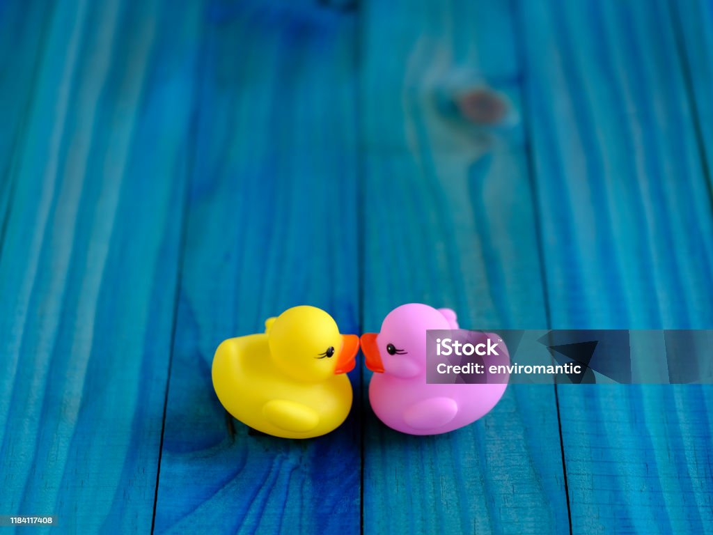 Two Rubber Ducks Purple And Yellow Kissing Together Scene Set On A