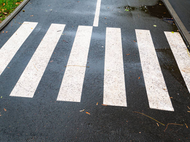 Zebra Cross Pictures | Download Free Images on Unsplash