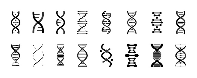 Ensemble Dicônes Dadn Molécule De Structure Icône De Chromosome