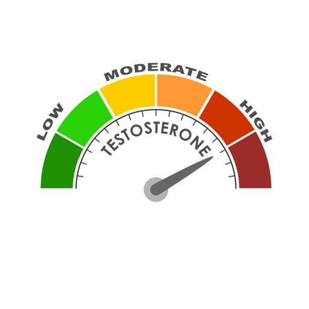 130 Testosterone Testing Stock Illustrations Royalty Free Vector