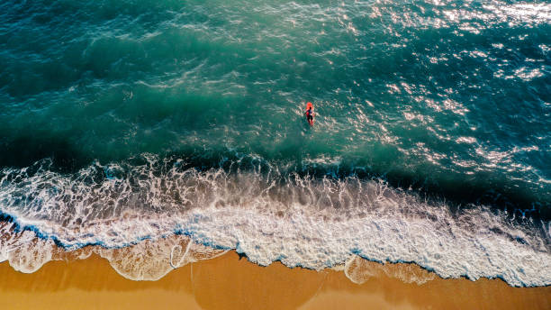 Free Stock Photo of Lone Surfer Waiting for a Wave - Aerial View ...