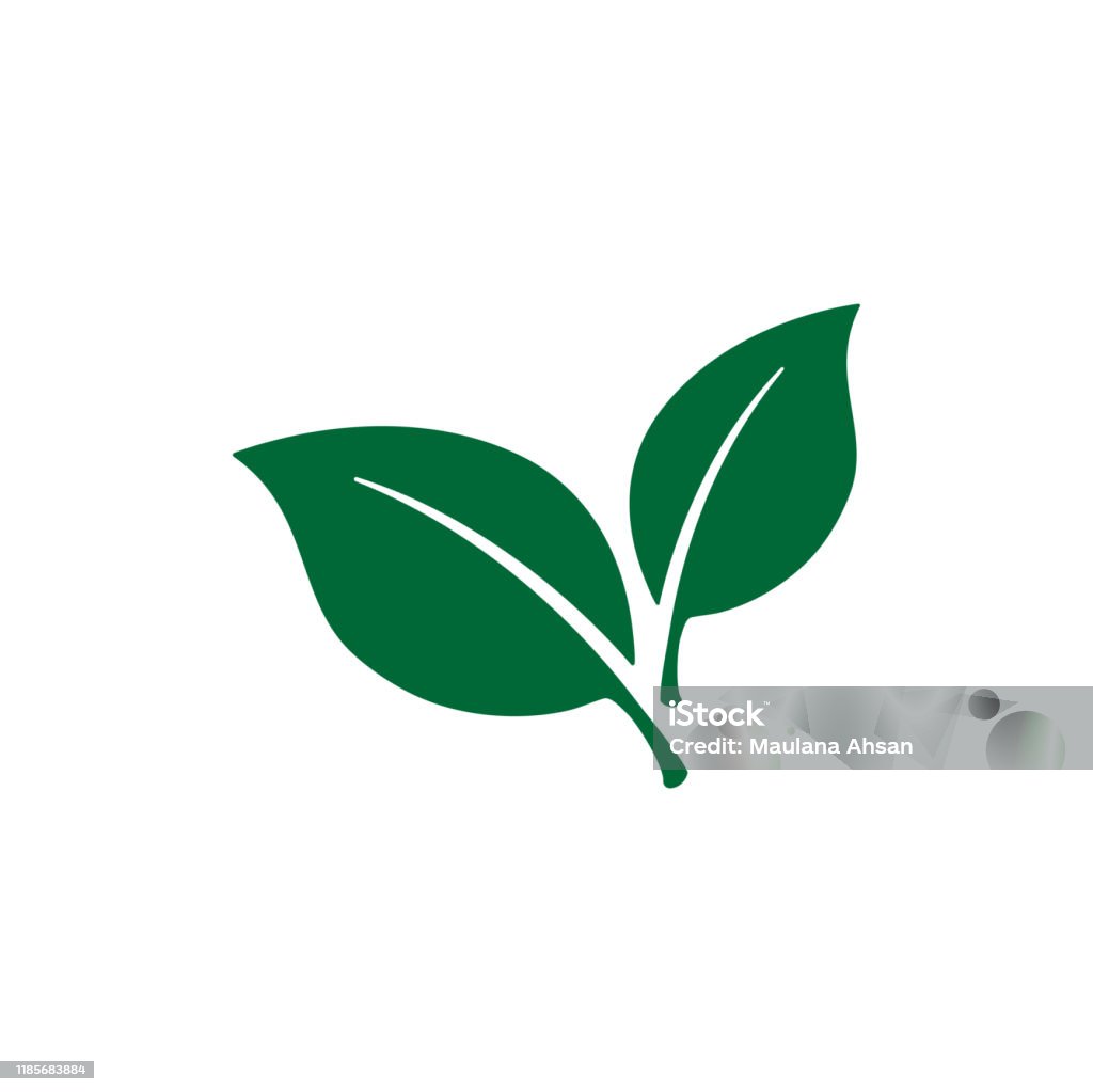 Ikon Vektor Elemen Daun Hijau Alam Simbol Vektor Daun Hijau Ilustrasi