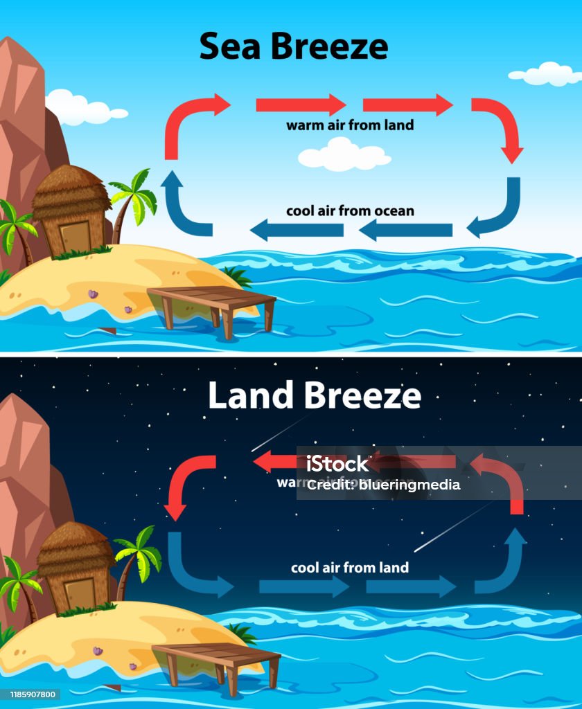 Diagram Showing Sea And Land Breeze Stock Illustration Download Image Now Sea Diagram Land