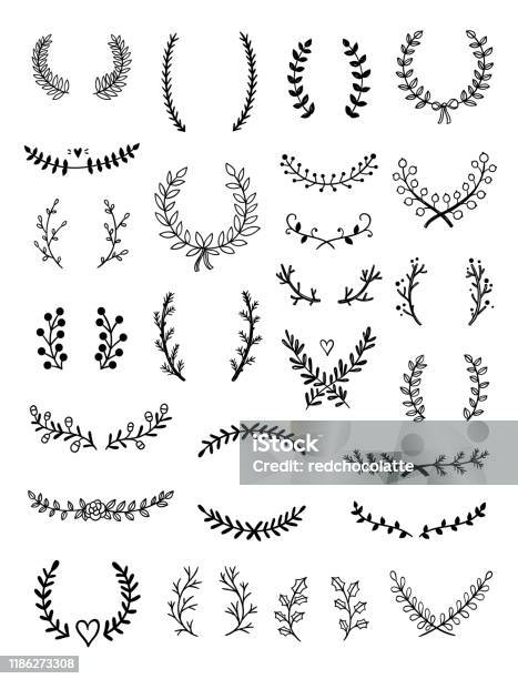 Karangan Bunga Dan Bingkai Botani Alami Vektor Tangan Digambar Set