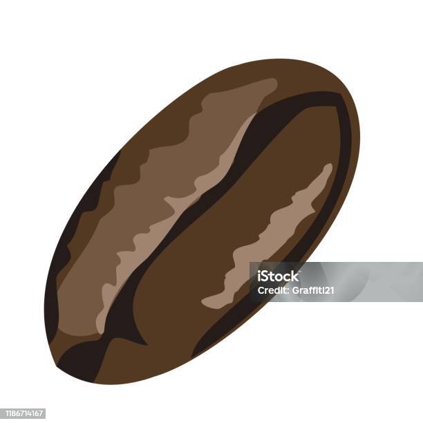 Biji Kopi Ilustrasi Biji Kopi Vektor Latar Belakang Putih Terisolasi